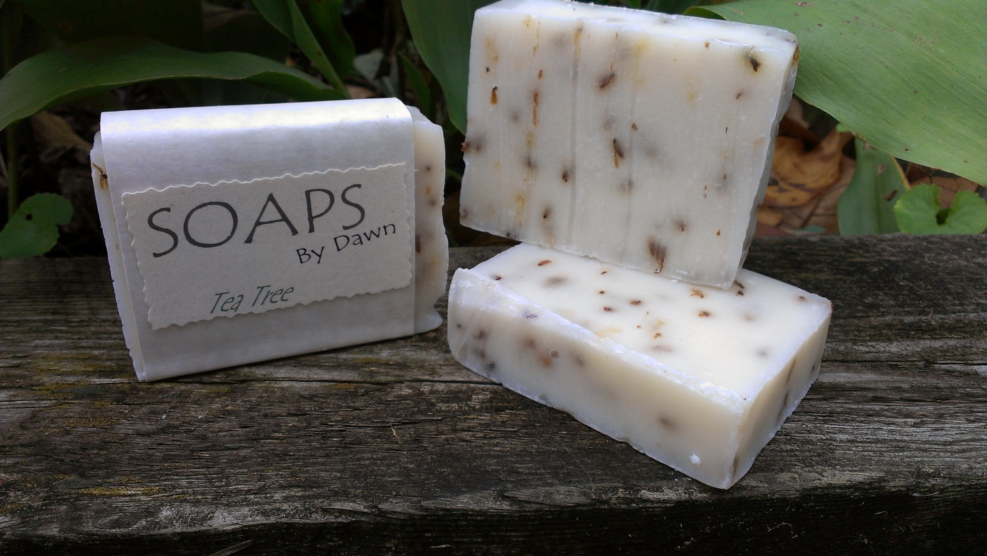 Tea Tree - SOAPS by Dawn